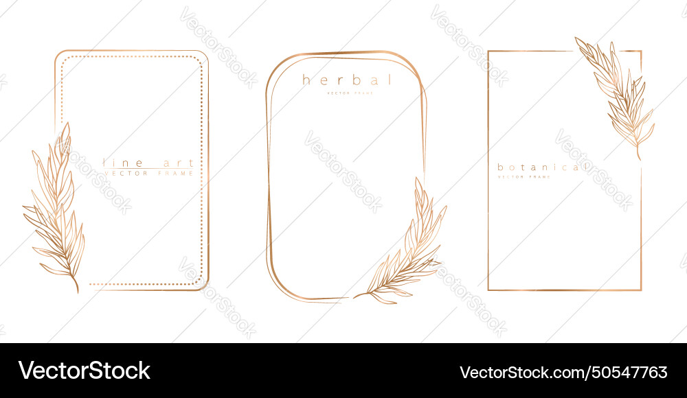 Set of frame templates in minimal linear style Vector Image