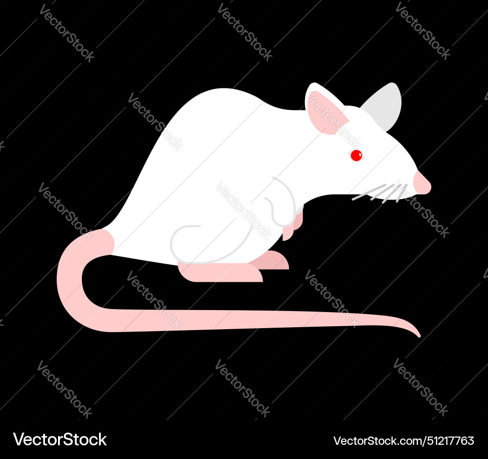 White laboratory mouse isolated mice Royalty Free Vector