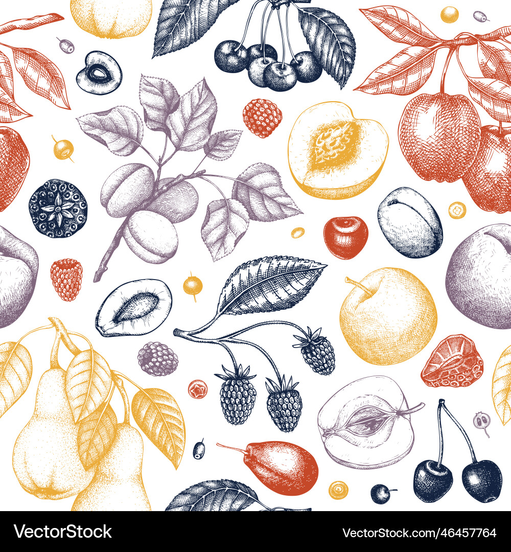 Berry and fruit tree background in color hand Vector Image