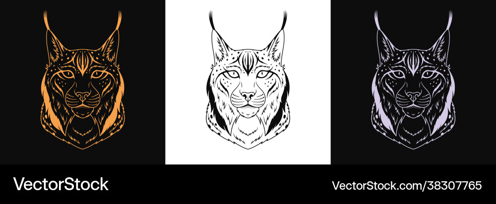 Gold Black Silver Lynx Head Set Royalty Free Vector Image