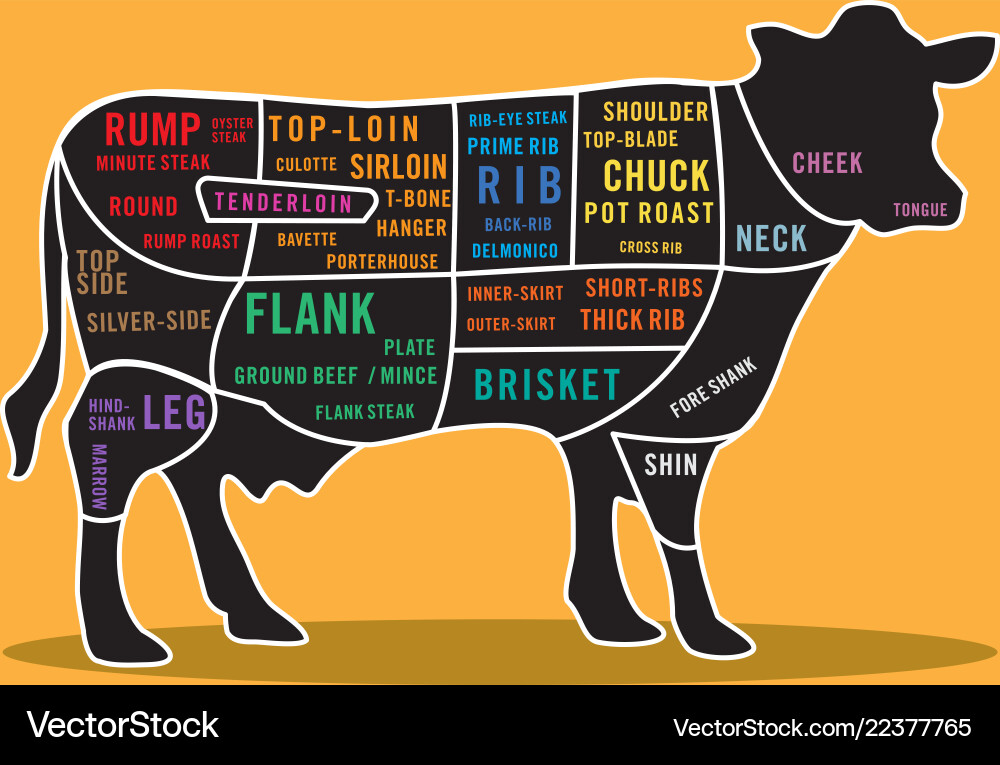 Karte der Rindersteakschnitte Kuh Infografik Vektorbild