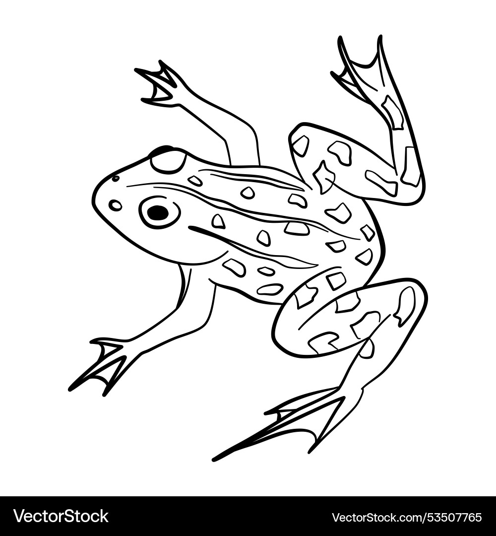 Toad outline for coloring book for kids Royalty Free Vector