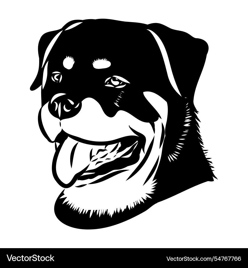 Doodle one line drawn rottweiler black curve Vector Image