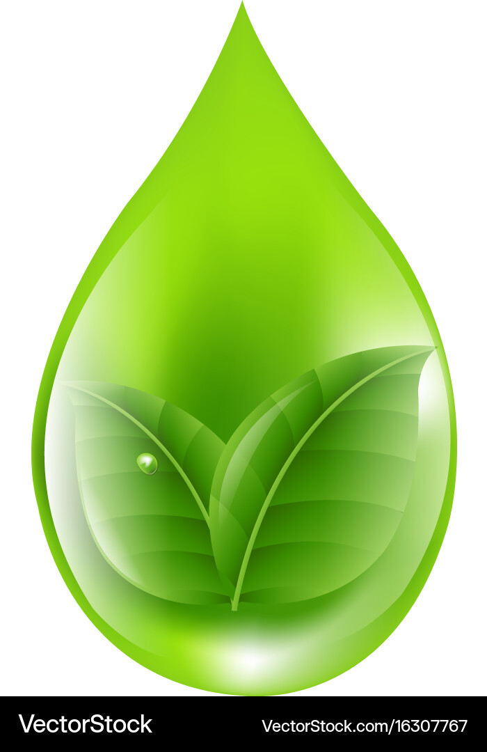 Green Drop Icon Royalty Free Vector Image - VectorStock