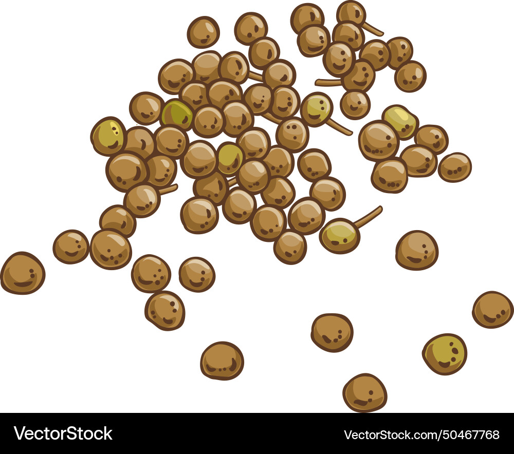 Crambe seeds colored detailed Royalty Free Vector Image