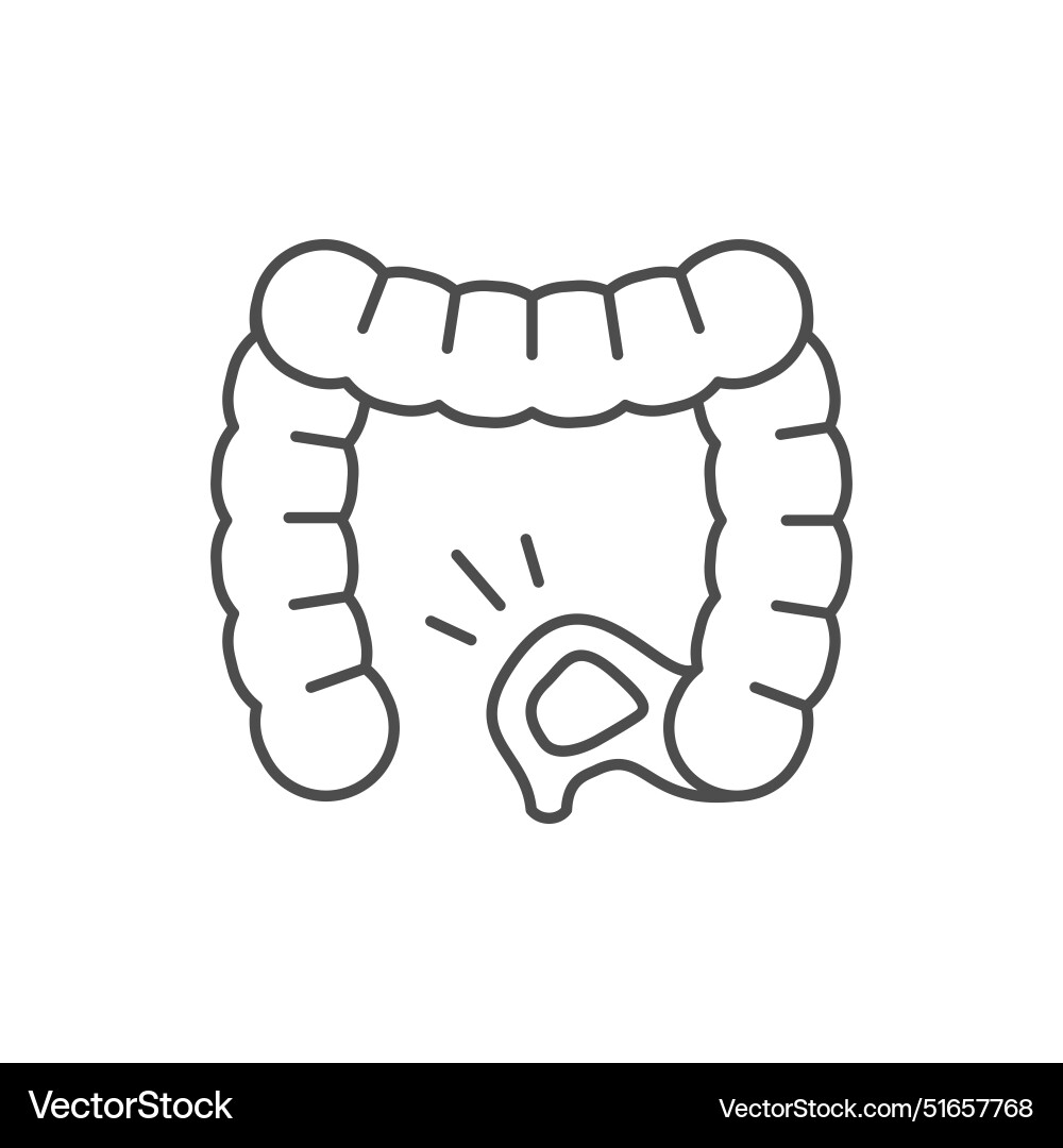 Intestines constipation line outline icon Vector Image