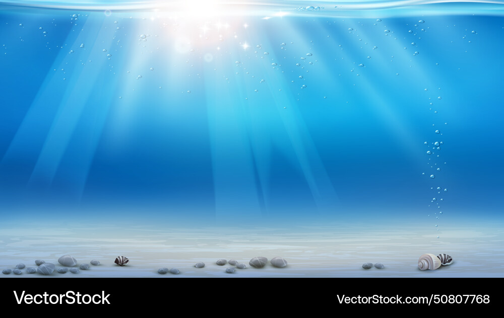 Realistic underwater landscape Royalty Free Vector Image
