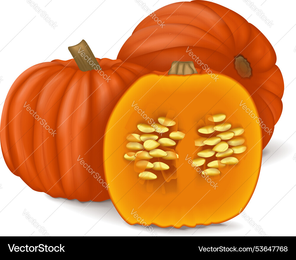 Whole and half of big max pumpkin Royalty Free Vector Image