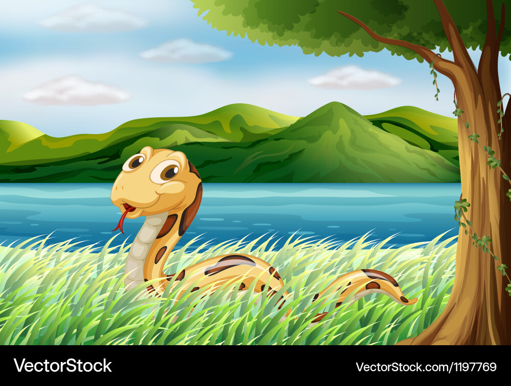A snake at the grass Royalty Free Vector Image