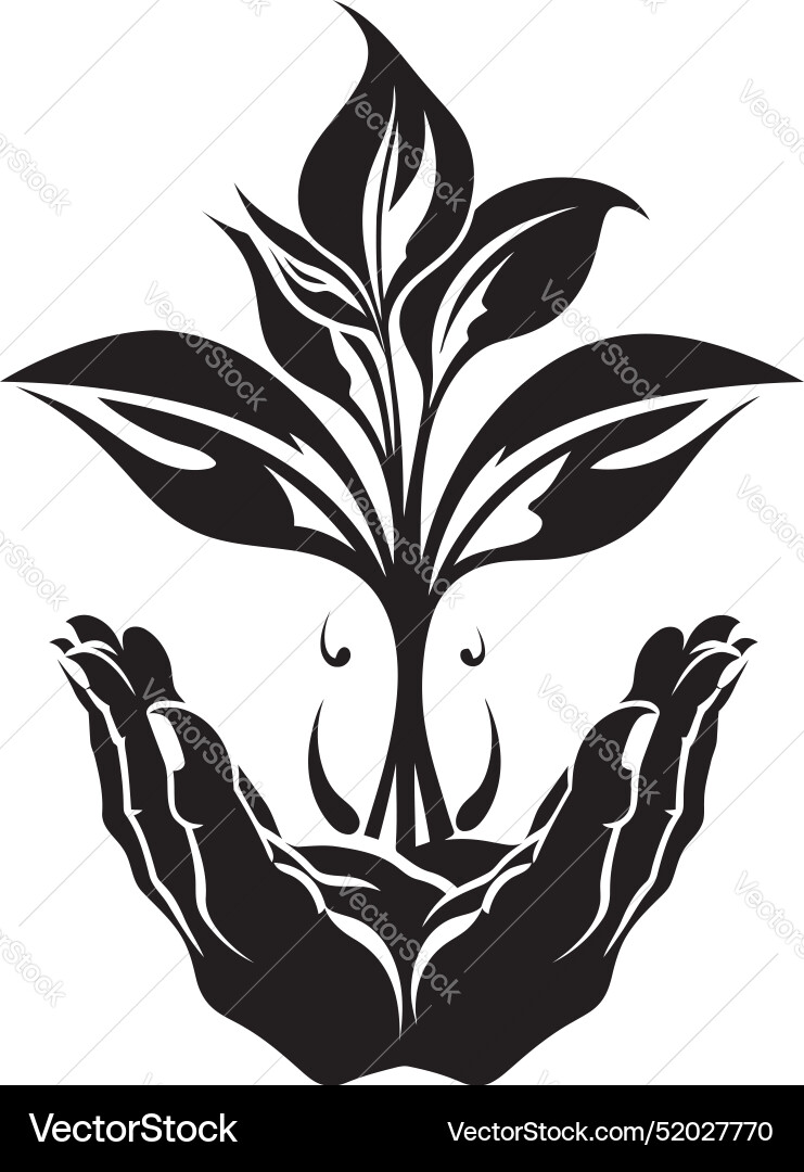 Botanic grasp plant emblem badge leafy touch logo Vector Image