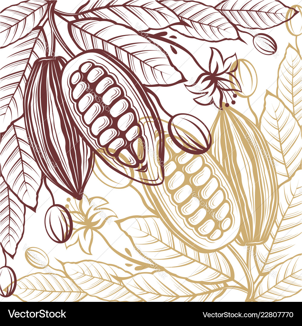 Cocoa packages pattern Royalty Free Vector Image