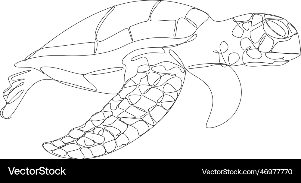 Continuous line drawing sea turtle Royalty Free Vector Image