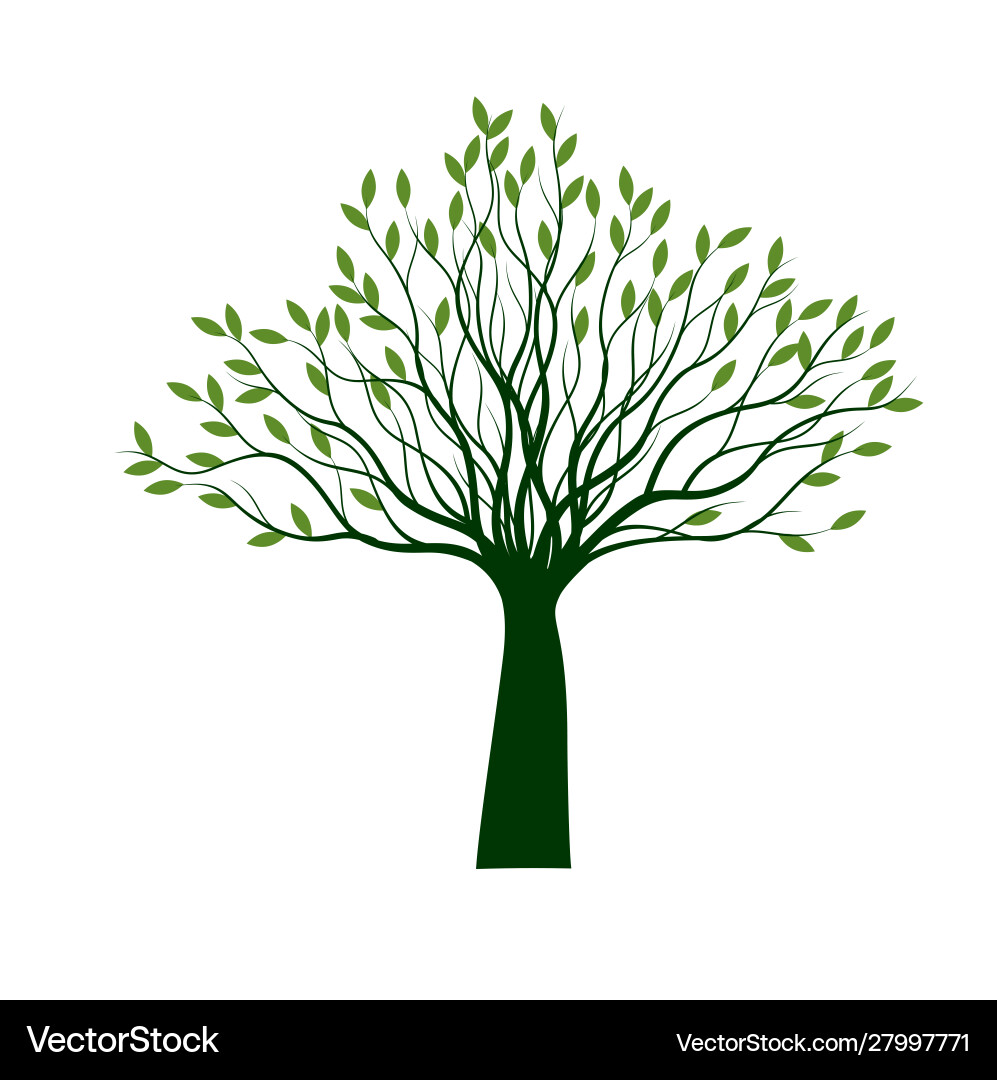 Shape green tree with leaves Royalty Free Vector Image