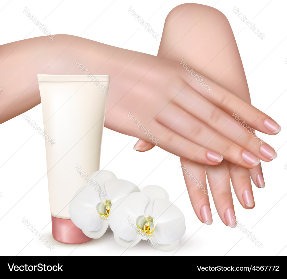 Beautiful young female hands with a cream Vector Image