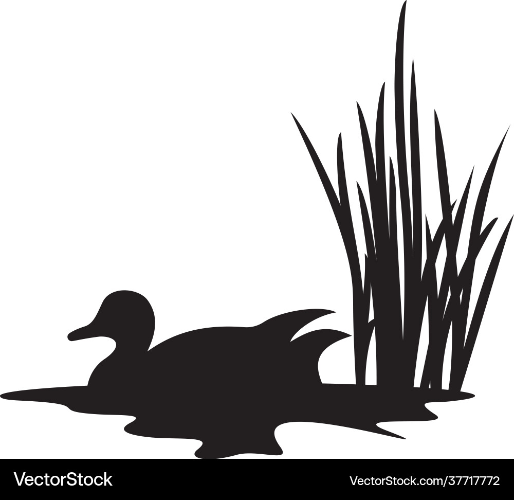 Duck in pond Royalty Free Vector Image - VectorStock