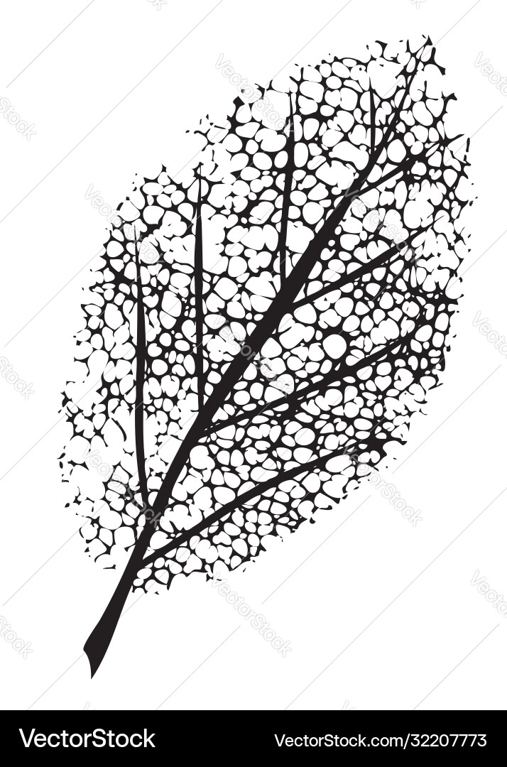 Dead leaf symbol grief Royalty Free Vector Image