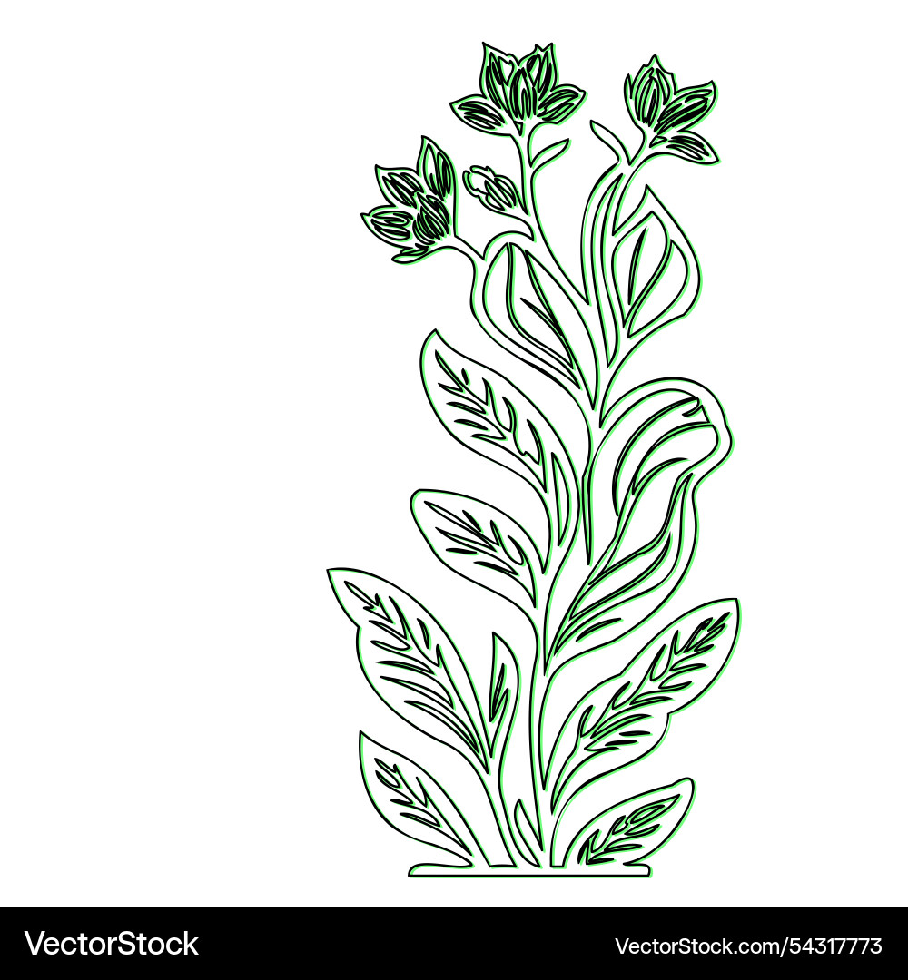 Floral line art Royalty Free Vector Image - VectorStock