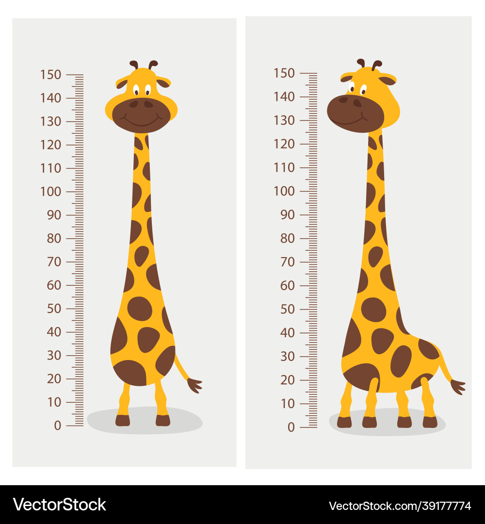 Cartoon cute giraffe with ruler growth Royalty Free Vector