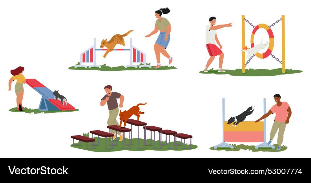 Dog training and agility activities featuring Vector Image