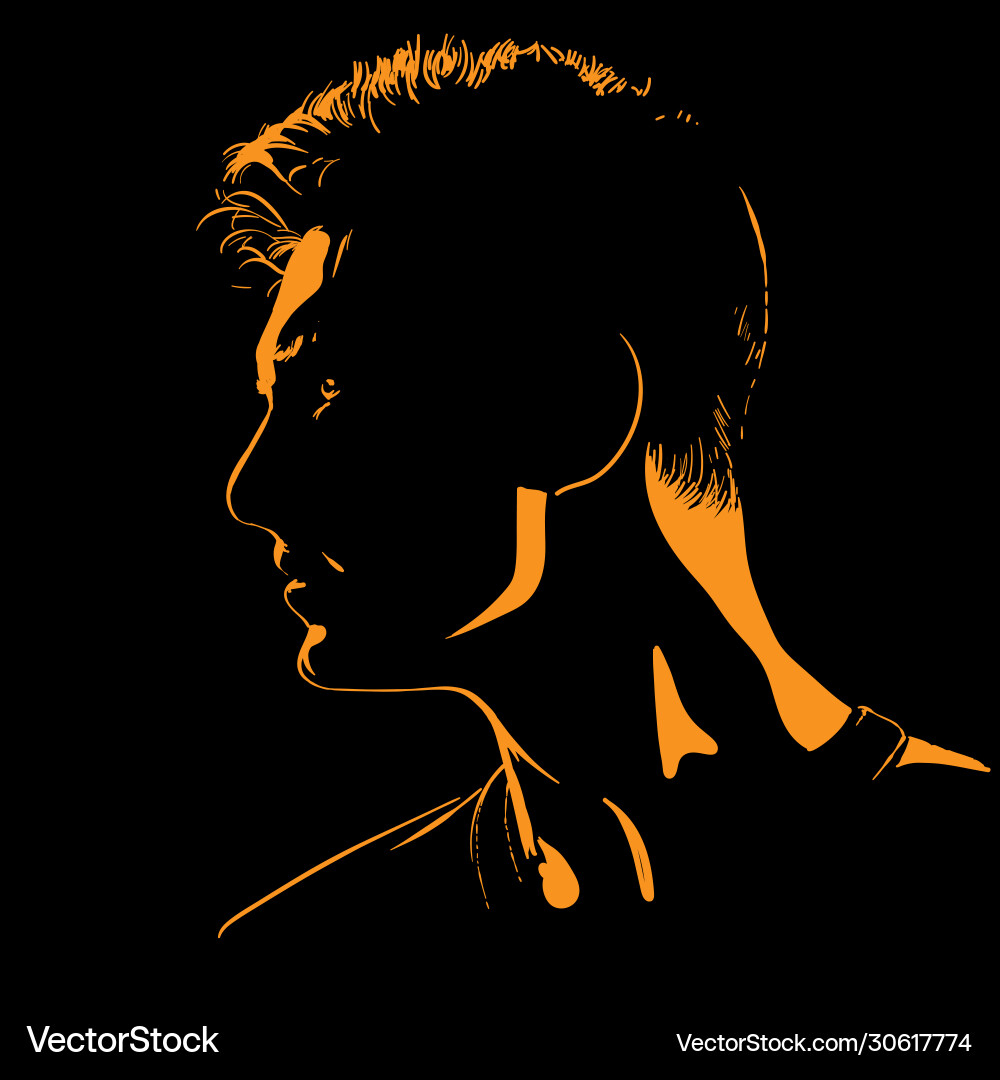 Man portrait silhouette in contrast backlight Vector Image