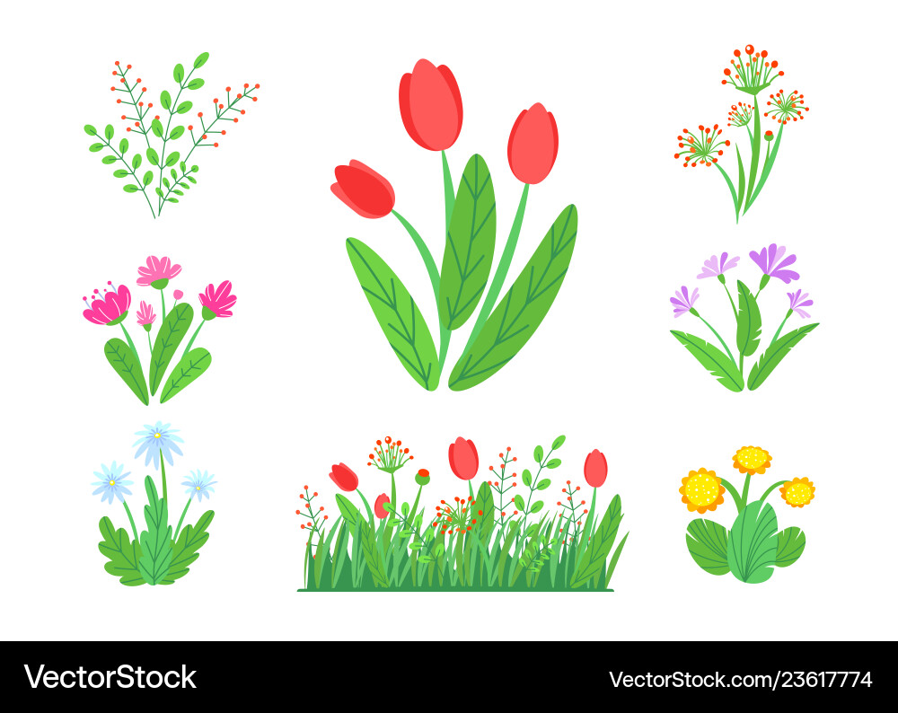 Spring garden flowers with blooming grass Vector Image
