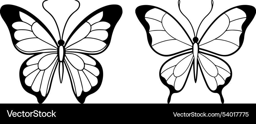 Butterfly silhouette outline design Royalty Free Vector