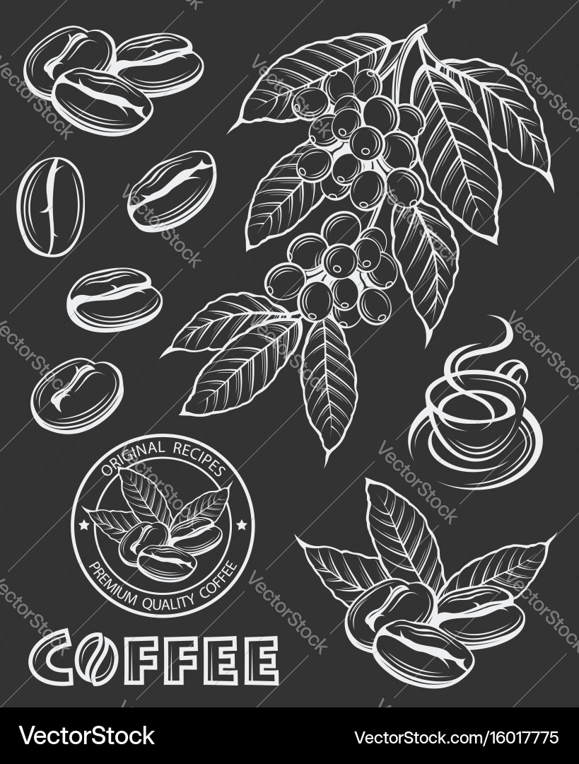 Coffee elements set Royalty Free Vector Image - VectorStock