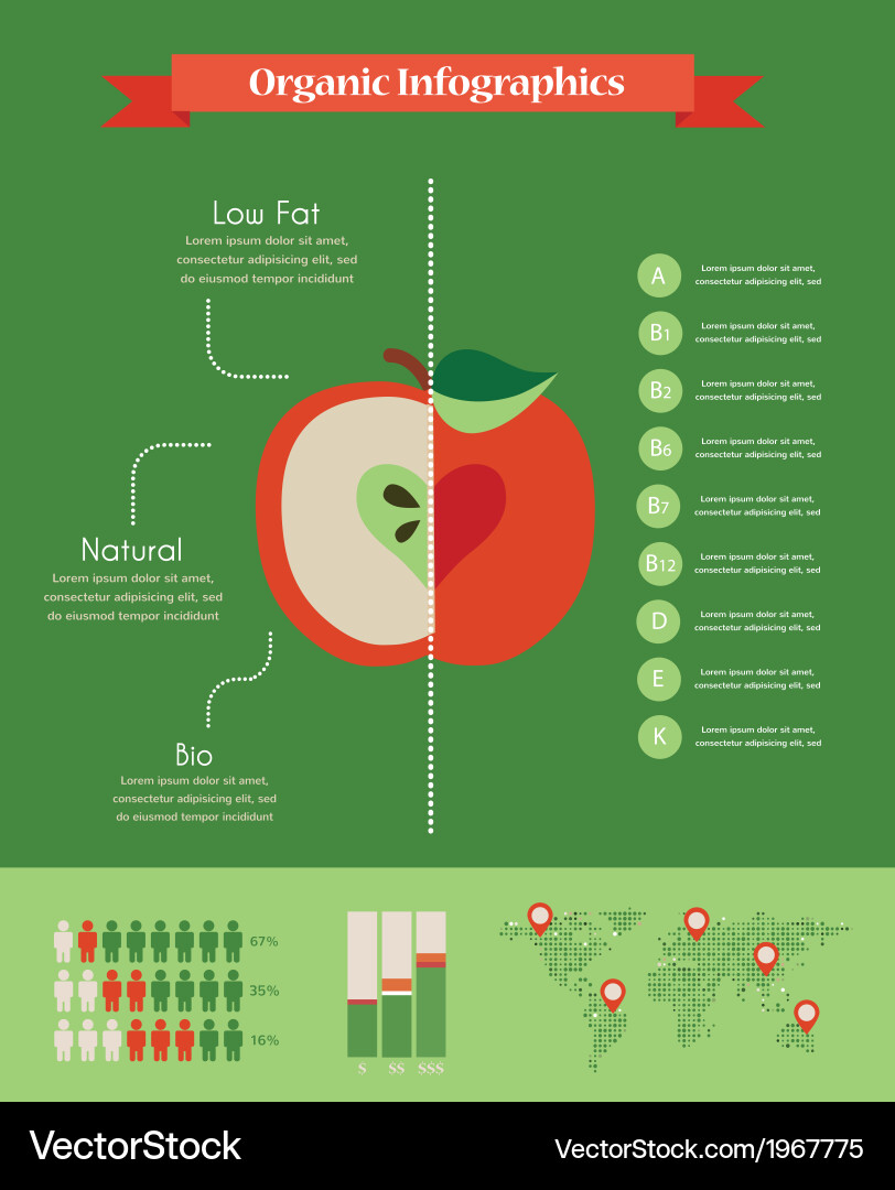 Organic infographics with apple and charts Vector Image