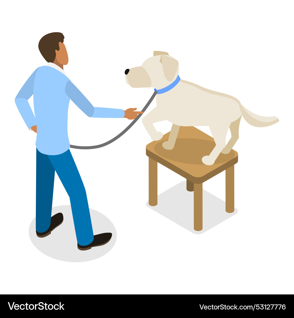 3d isometric flat set of dog training Royalty Free Vector