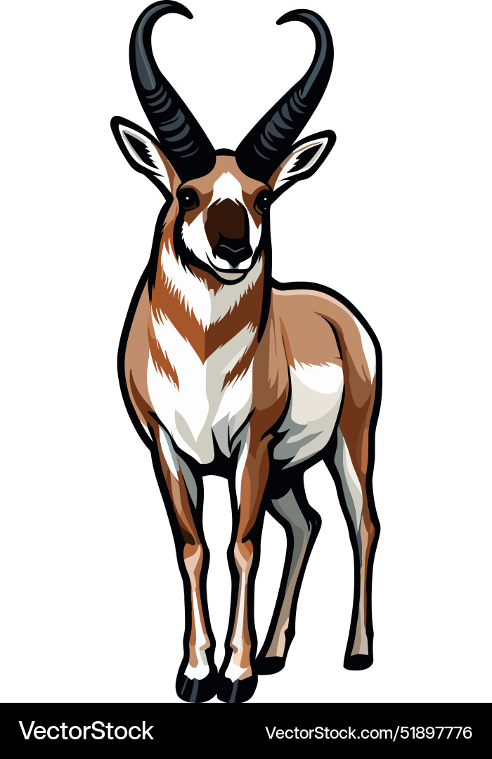 Color of pronghorn standing walking side view Vector Image
