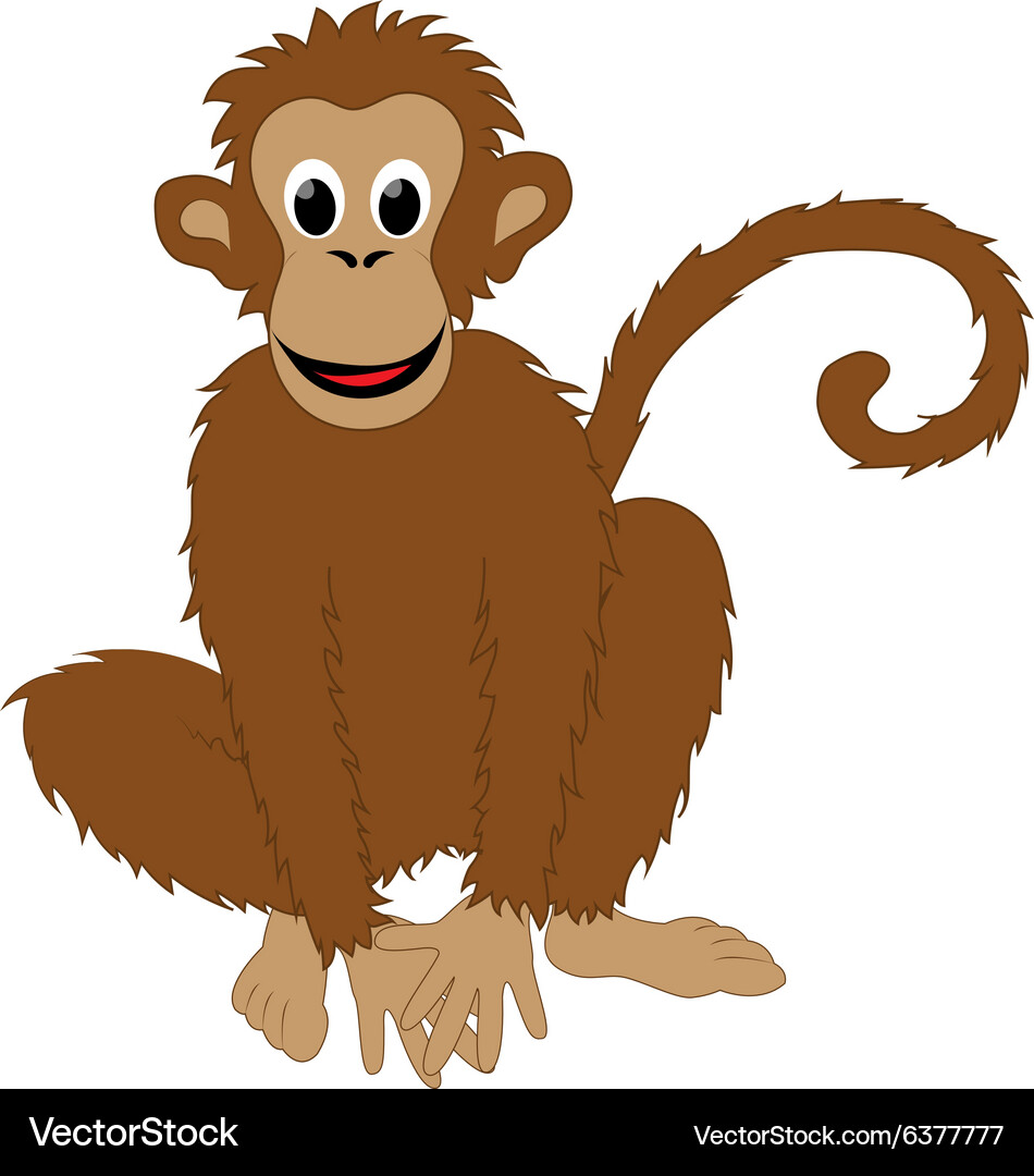 cartoon monkey white background