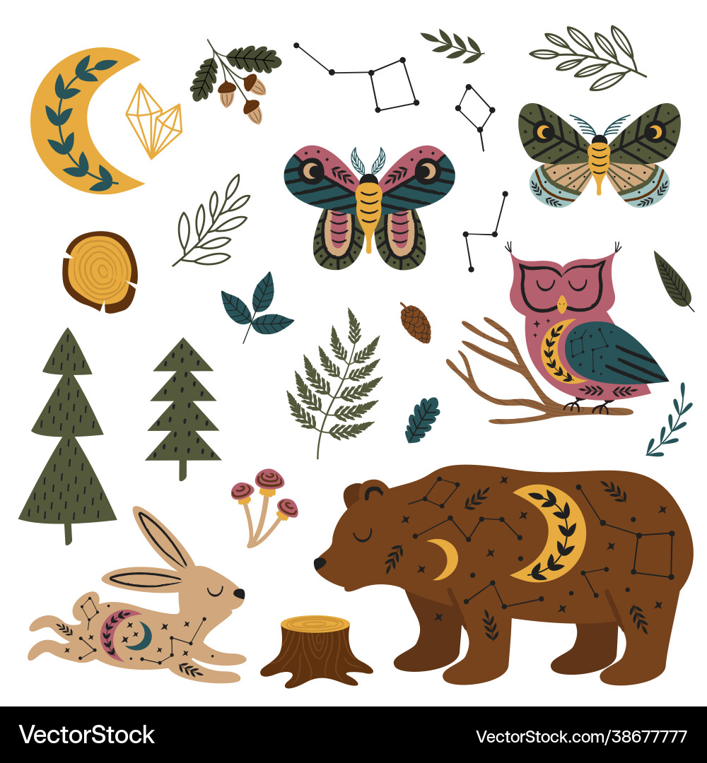 Set isolated magic forest animals and plants Vector Image