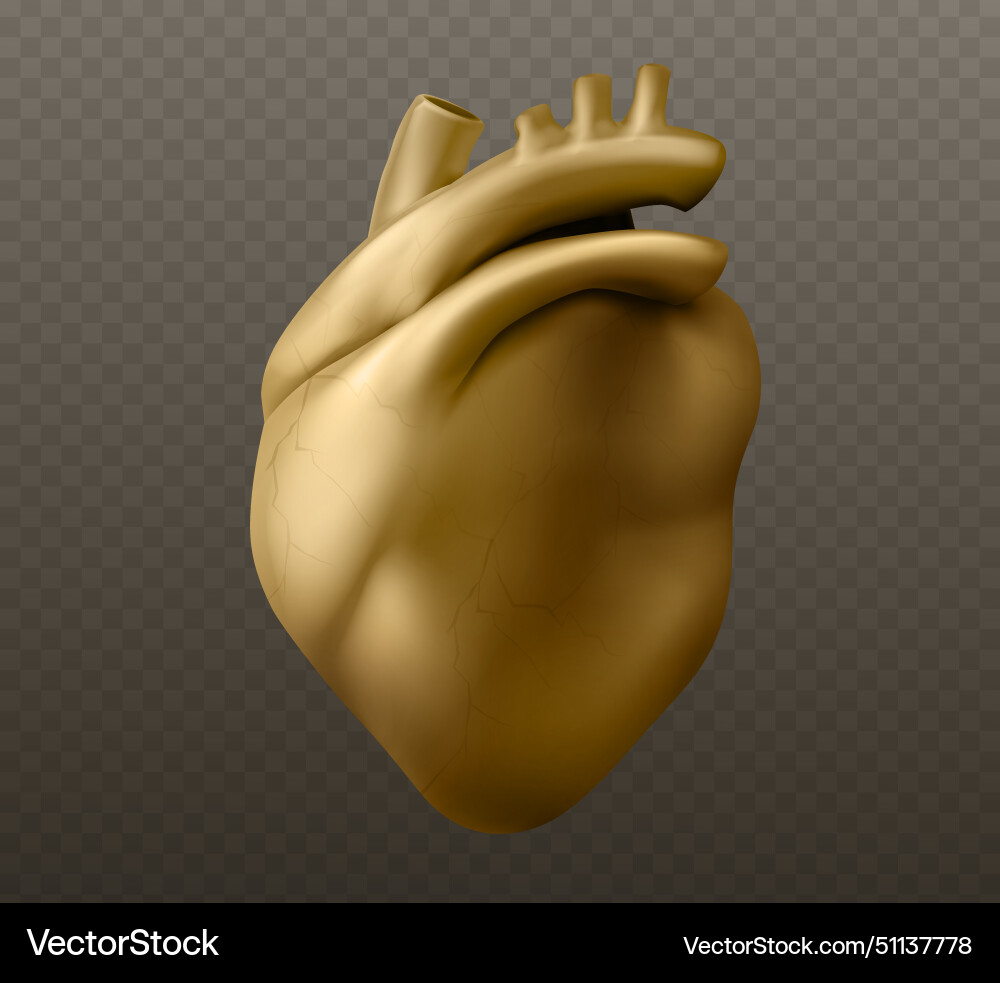 Golden human heart sculpture model Royalty Free Vector Image