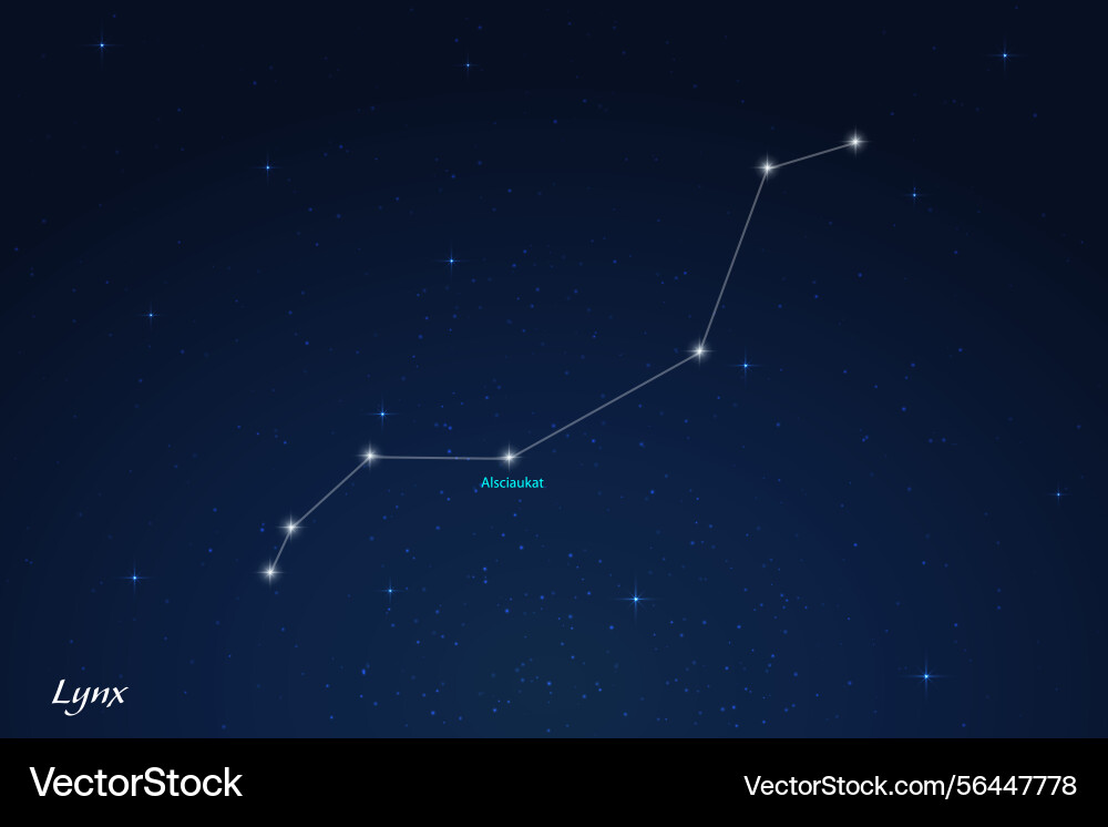 Lynx constellation with star names in night sky Vector Image