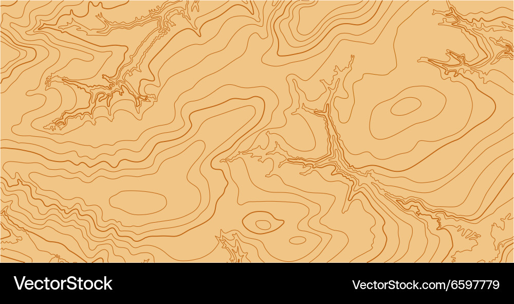 Abstract topographic map in brown colors Vector Image