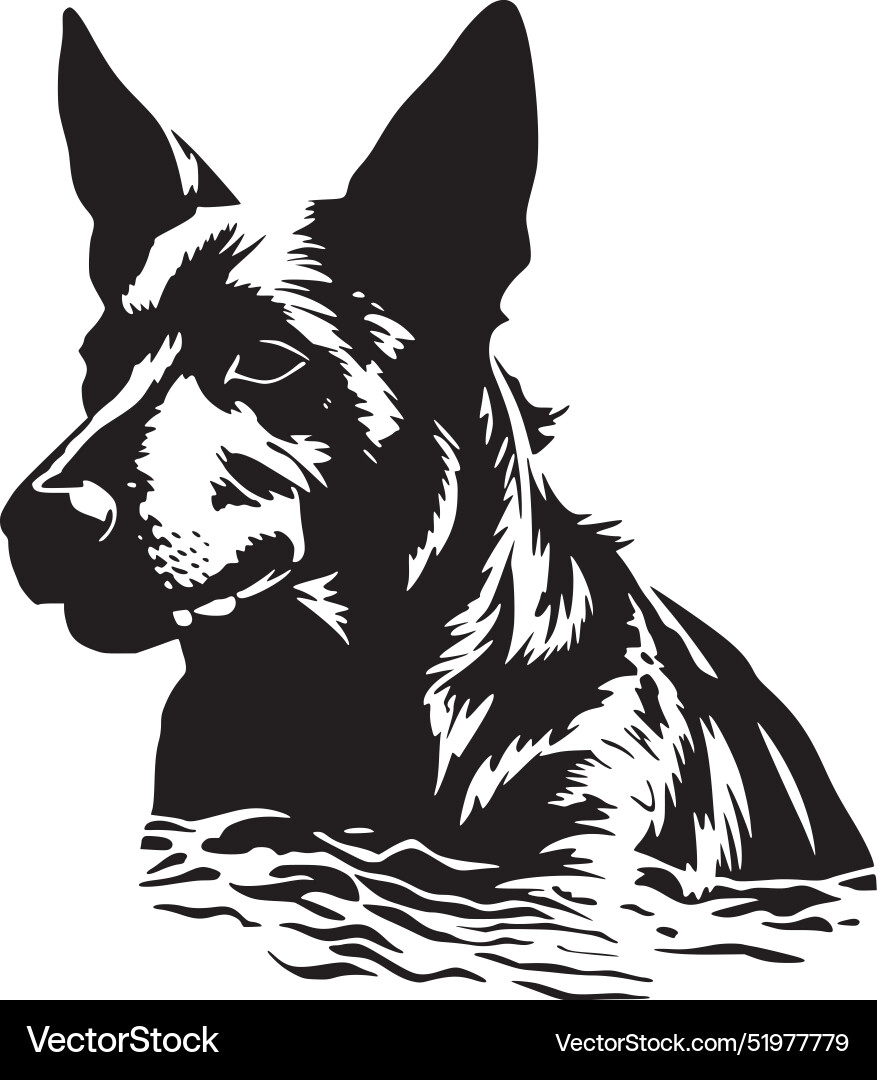 Australian kelpie - black and white Royalty Free Vector
