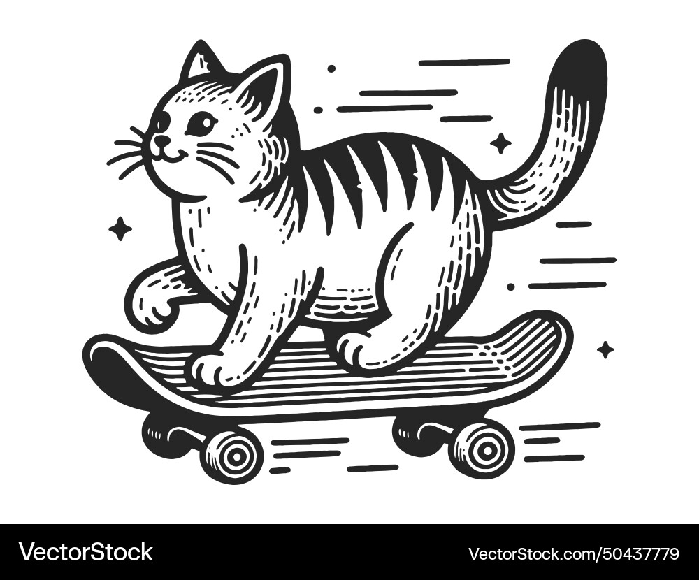 Cartoon cat riding skateboard sketch Royalty Free Vector
