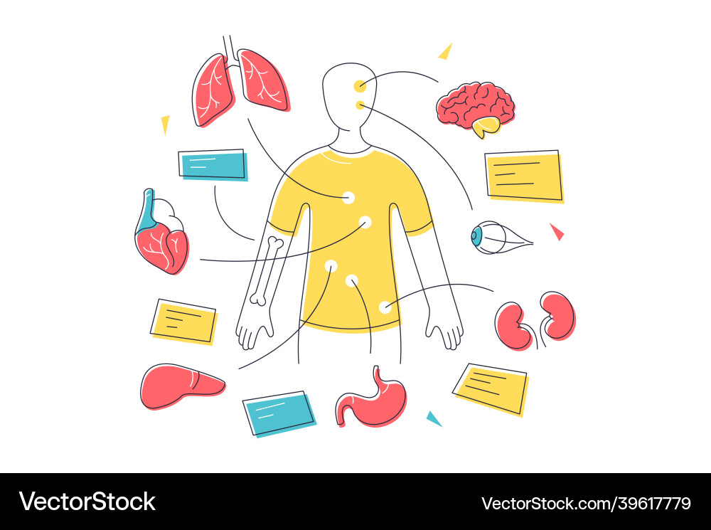 Human body organ systems and general anatomy Vector Image