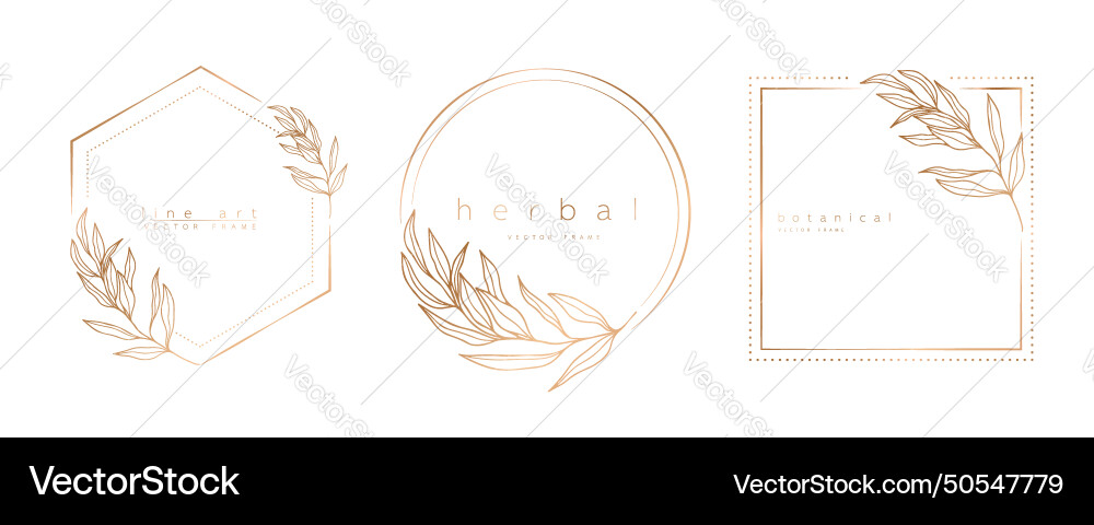 Set of frame templates in minimal linear style Vector Image