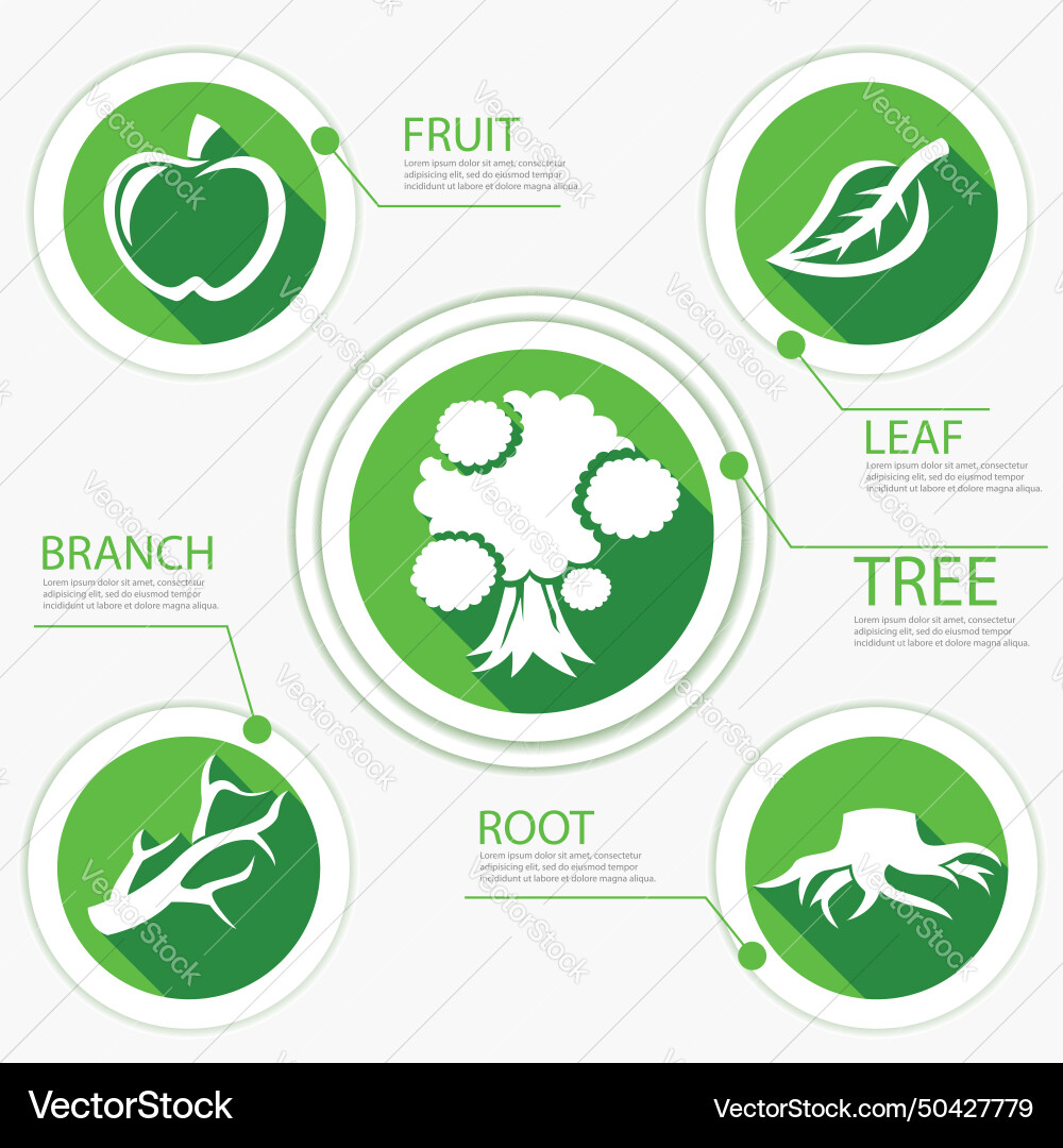 Tree chart go green flat design Royalty Free Vector Image