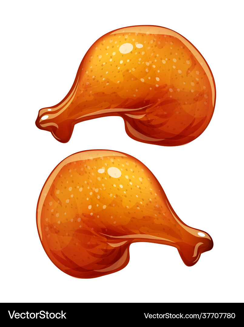 Chicken leg turkey haunch Royalty Free Vector Image