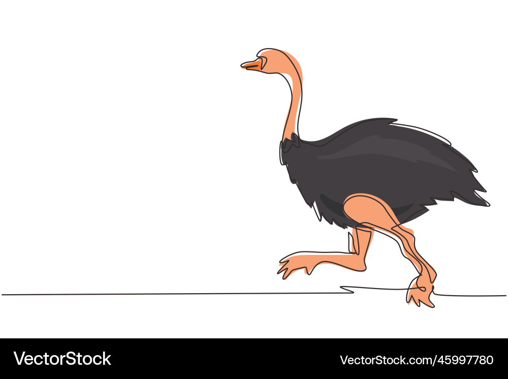 Continuous Line Drawing Ostrich Royalty Free Vector Image