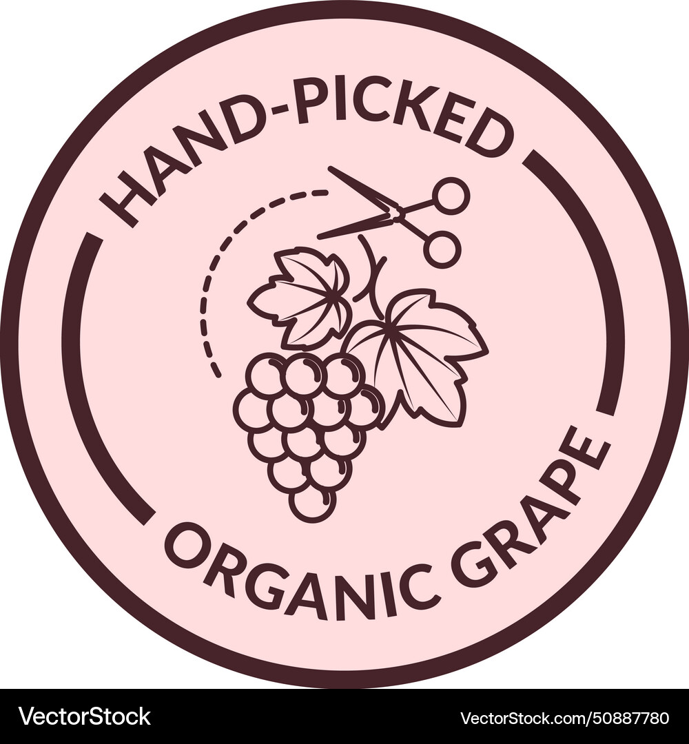 Hand picked organic grape label for products Vector Image