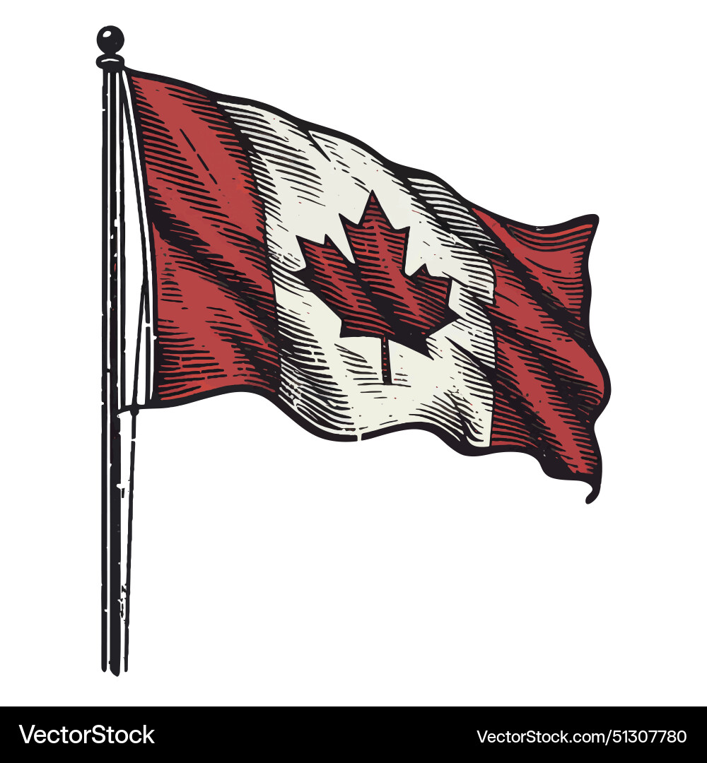 Waving canadian flag engraving Royalty Free Vector Image