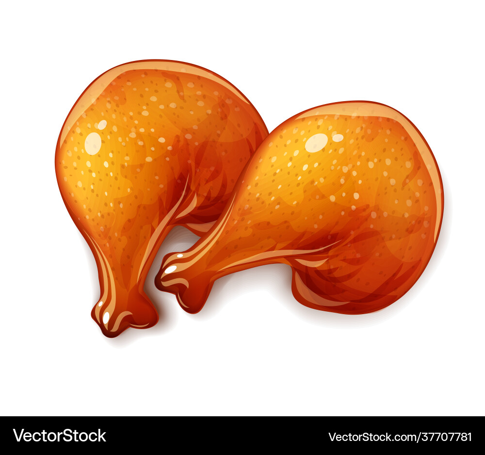 Chicken leg turkey haunch Royalty Free Vector Image