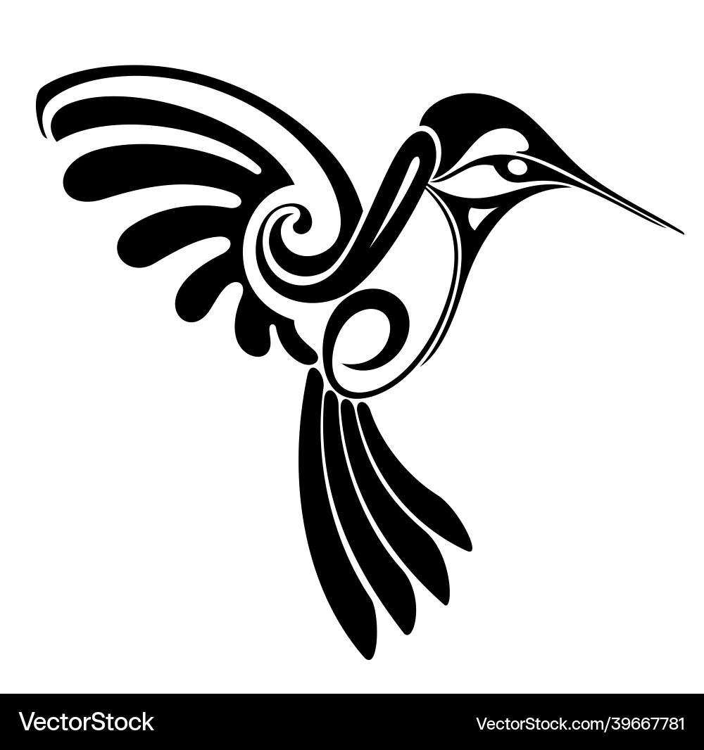 Colibri logo Royalty Free Vector Image - VectorStock