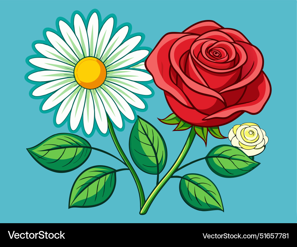 Rose and daisy c Royalty Free Vector Image - VectorStock