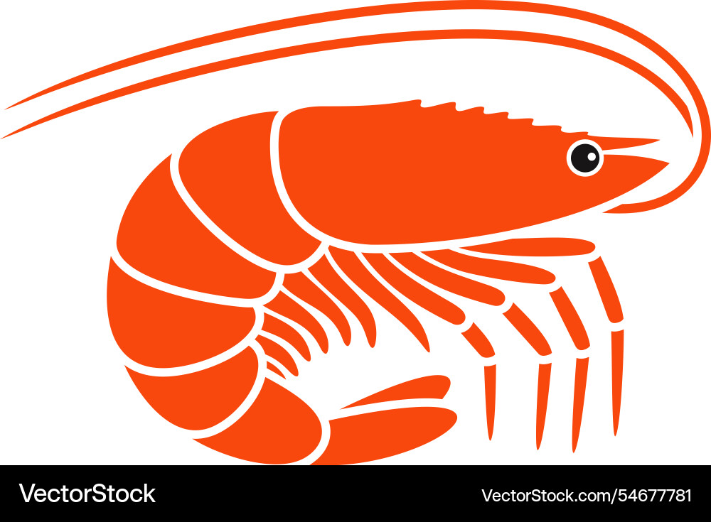 Shrimp Vector Images (over 38,000)
