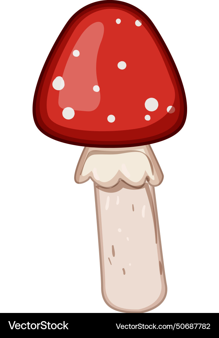 Fungi fly agaric cartoon Royalty Free Vector Image