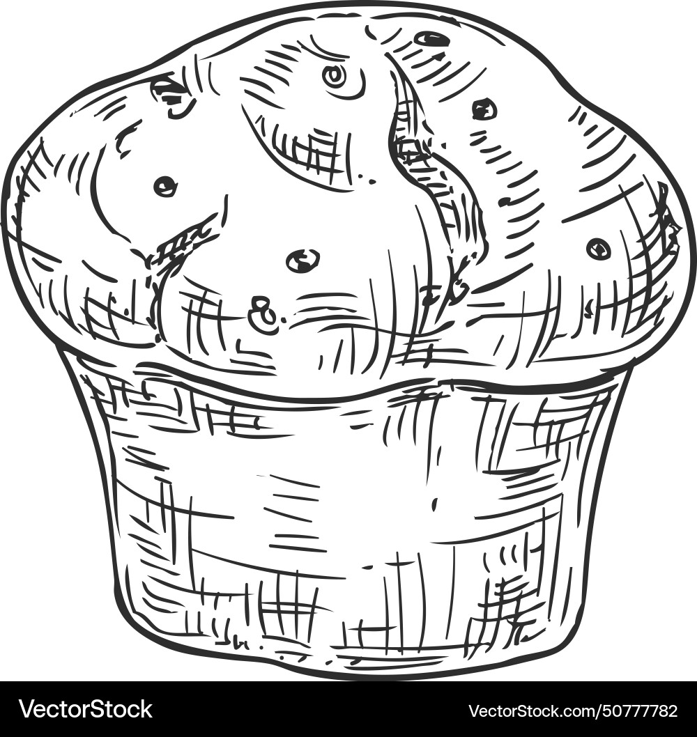 Muffin sketch pastry menu drawing sweet bakery Vector Image